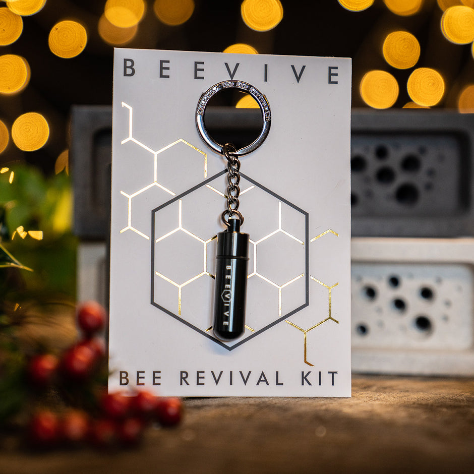 Beevive - Bee Revival kits, reconnecting you with nature – Green&Blue