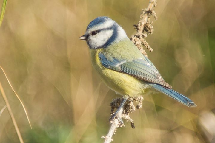 Meet the winner of our photo competition – Green&Blue