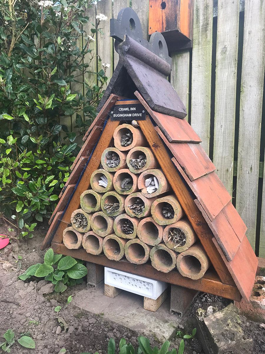 Weekend Project - Make a bug hotel – Green&Blue