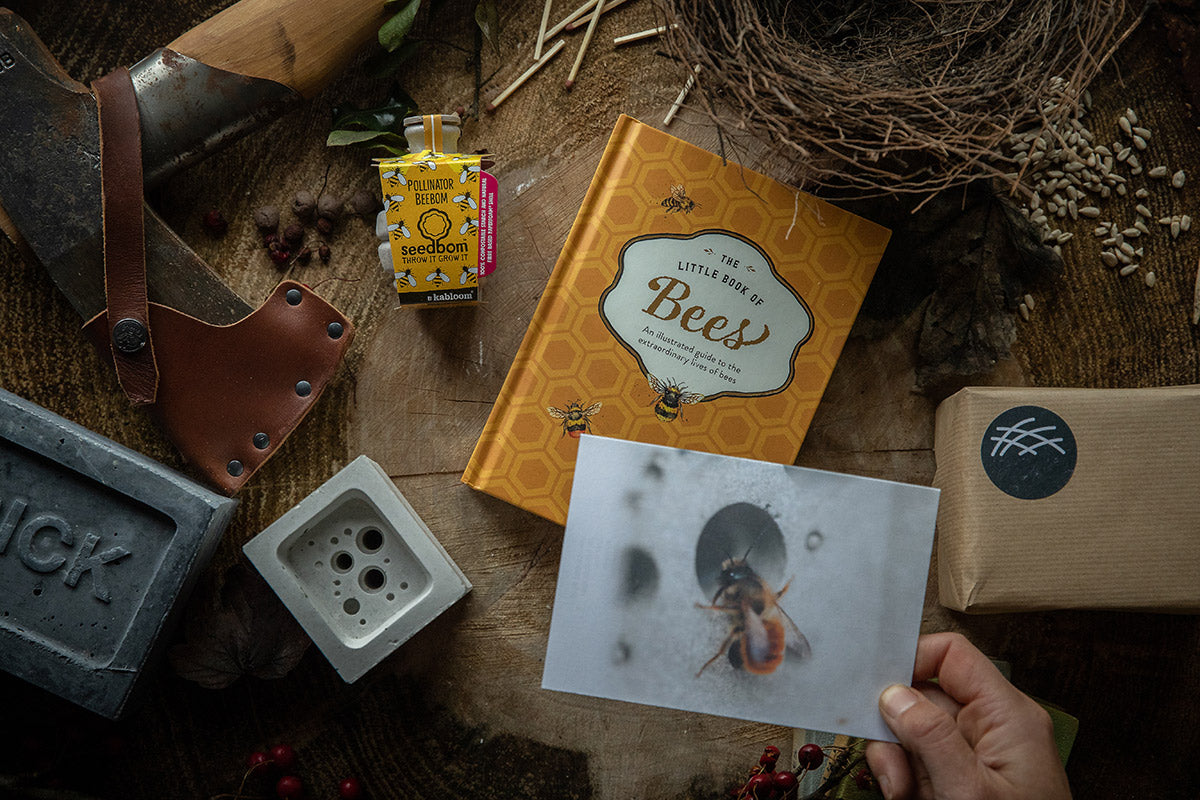 Bee Lover Gift Bundle - A great gift for nature loving dads – Green&Blue