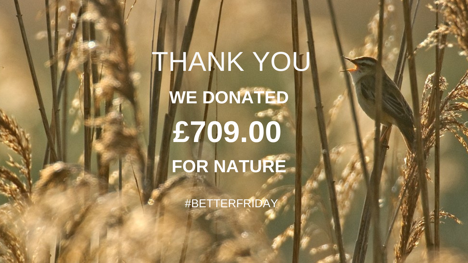 You made Friday Better for nature! – Green&Blue