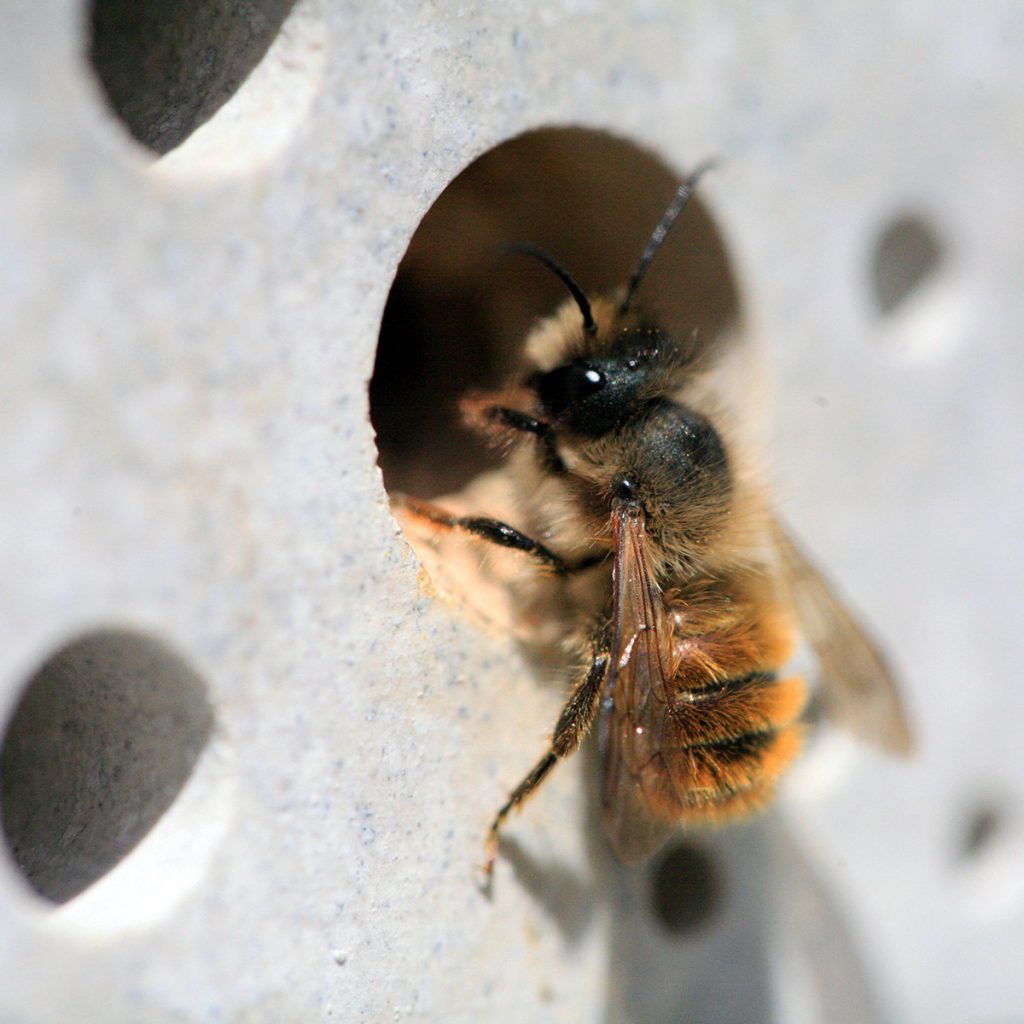 Green&Blue | Sustainable products for nature | British Made