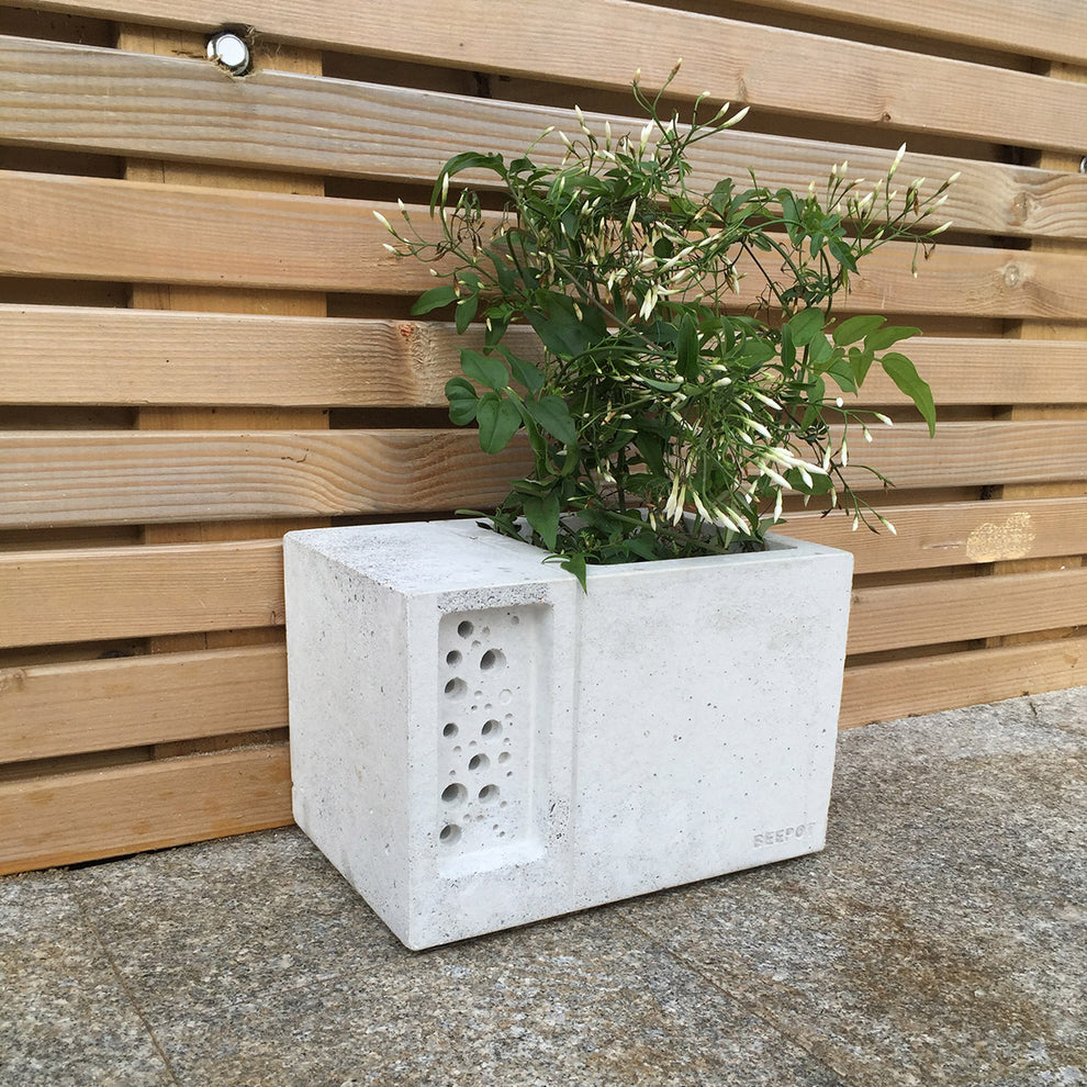 Beepot Large Concrete Planter and Bee House – Green&Blue