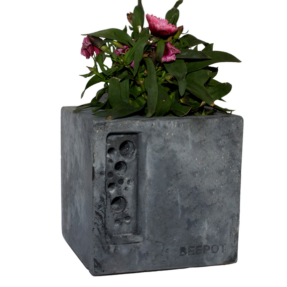 Beepot mini bee house and planter – Green&Blue